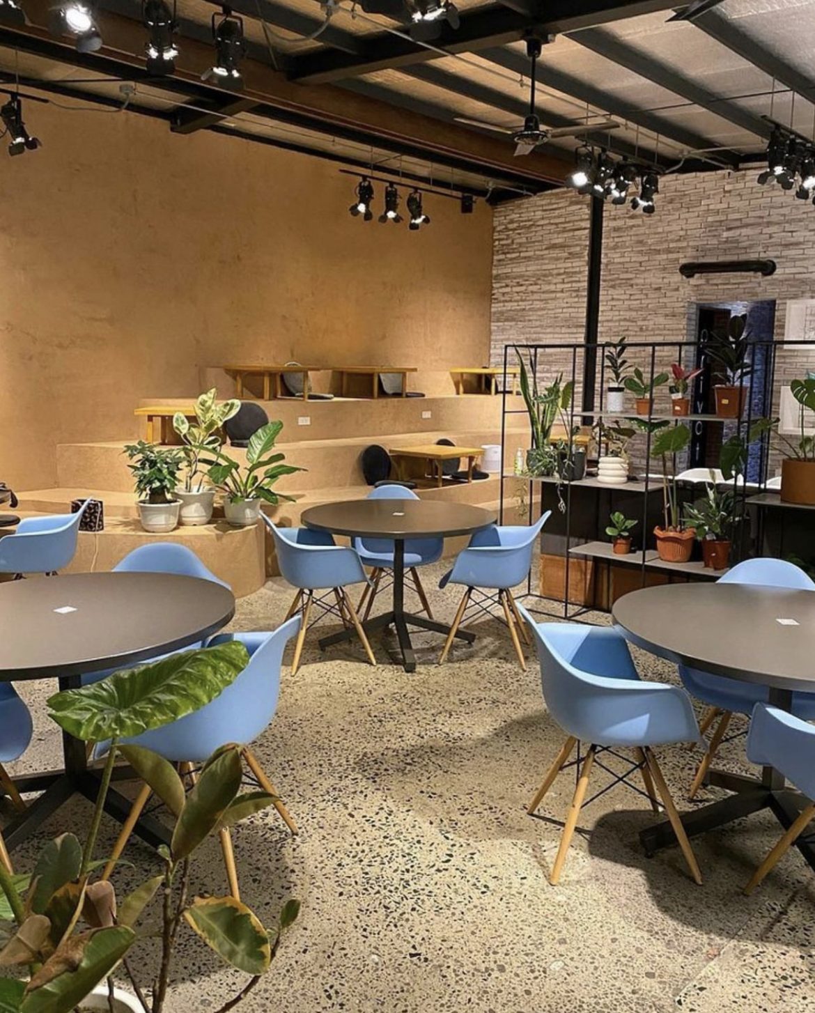 10 Pet-Friendly Cafes in Metro Manila